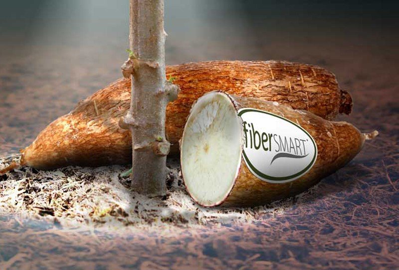 Anderson Advanced Ingredients - FiberSMART - Soluble Tapioca Fiber ...