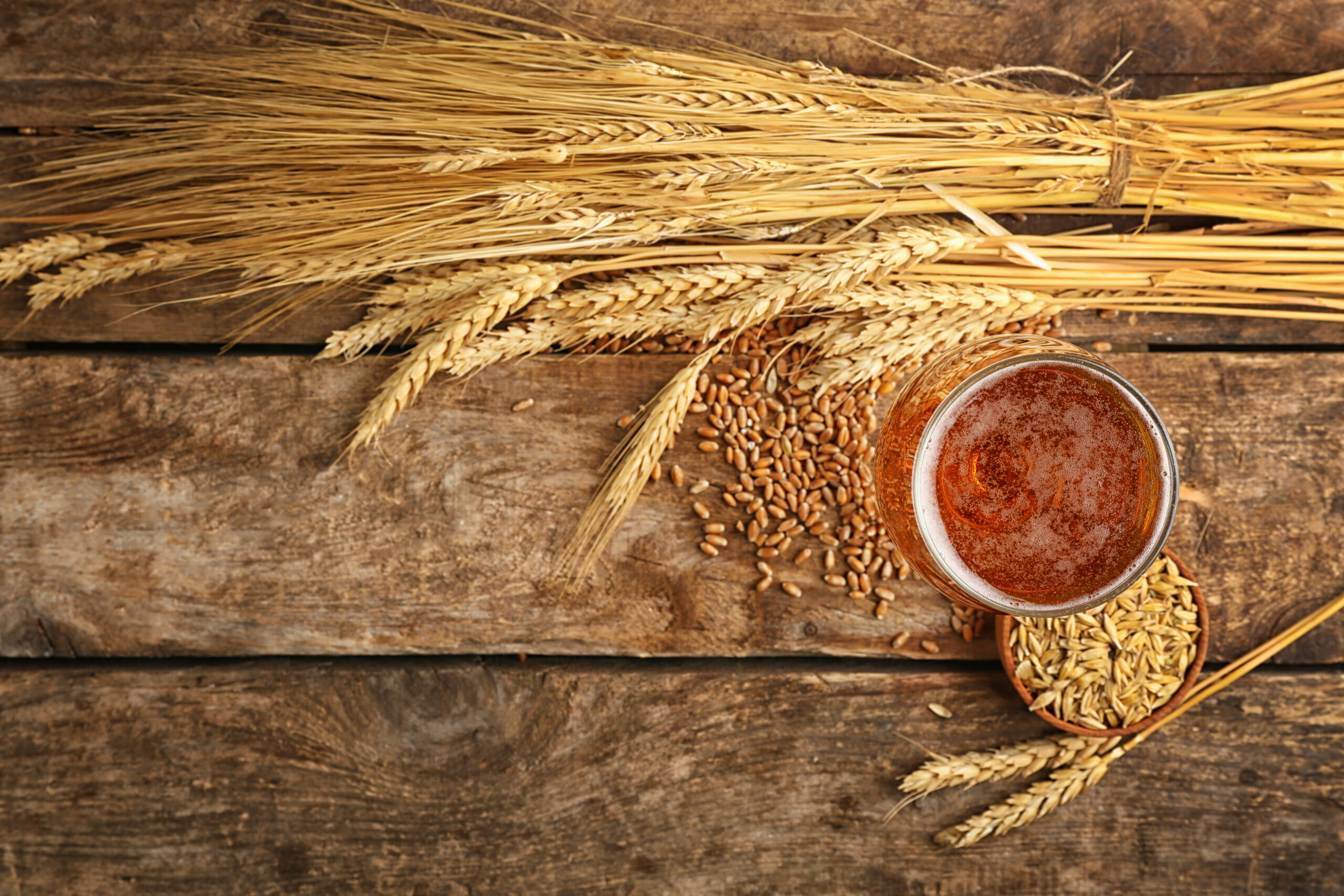 IFF - Malt Flavour - S 1876 - 1-2-Taste IN