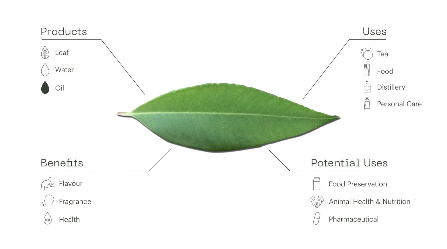 Australian Native Products | Functional Food and Nutraceutical ...