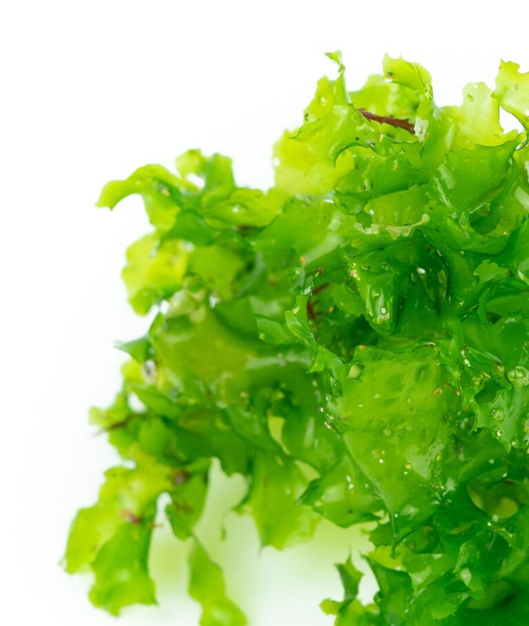 Que sont les émulsifiants et quand sont-ils utilisés dans la ...